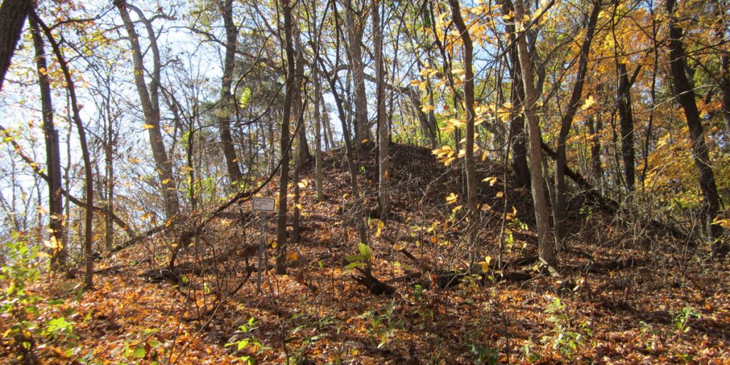 Who Was Zelph? | Doctrine and Covenants Central